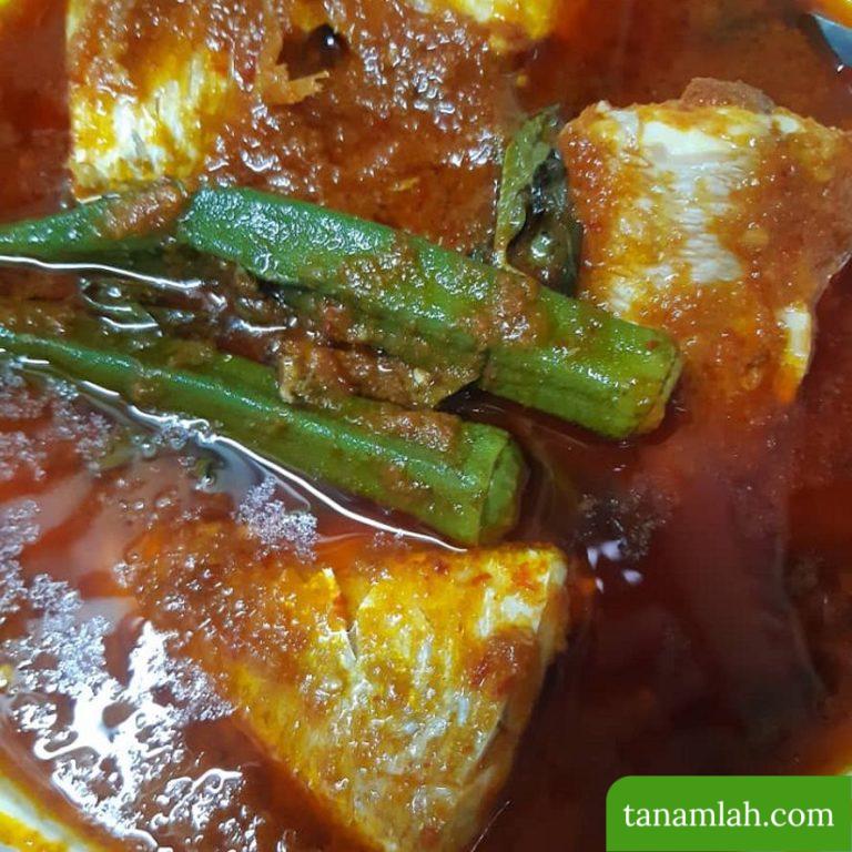 [Dalam Pasu] Cara Saya Tanam Pokok Kacang Bendi 🌱 - Tanamlah dot Com